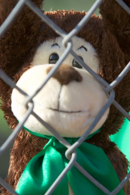 Rally monkey