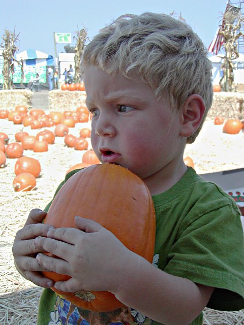 Timothy with pumpkin