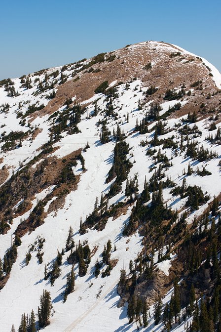 Snowy Mountainside